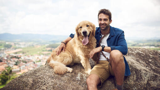 Golden Retriever Carattere Razza Salute E Alimentazione Purina